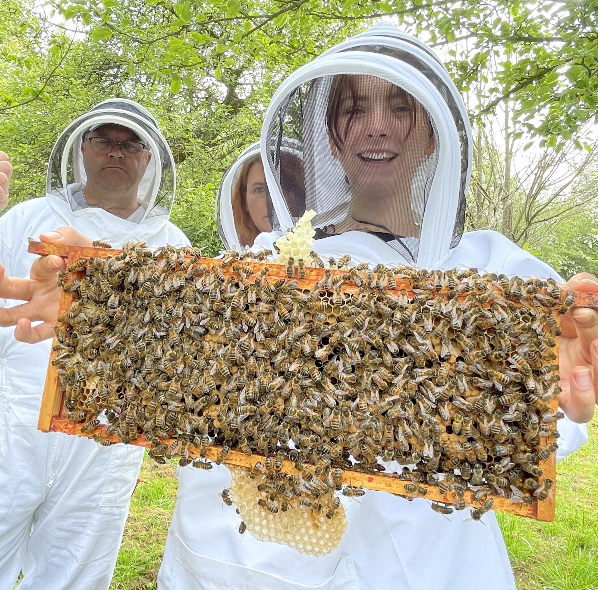 Bee Keeping